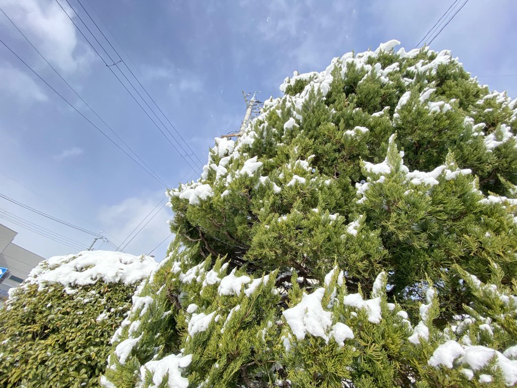 除雪作業 | 京都市南区の薄板大型製缶板金、設備ライン向け乾燥機の製作 - 株式会社タナカテック