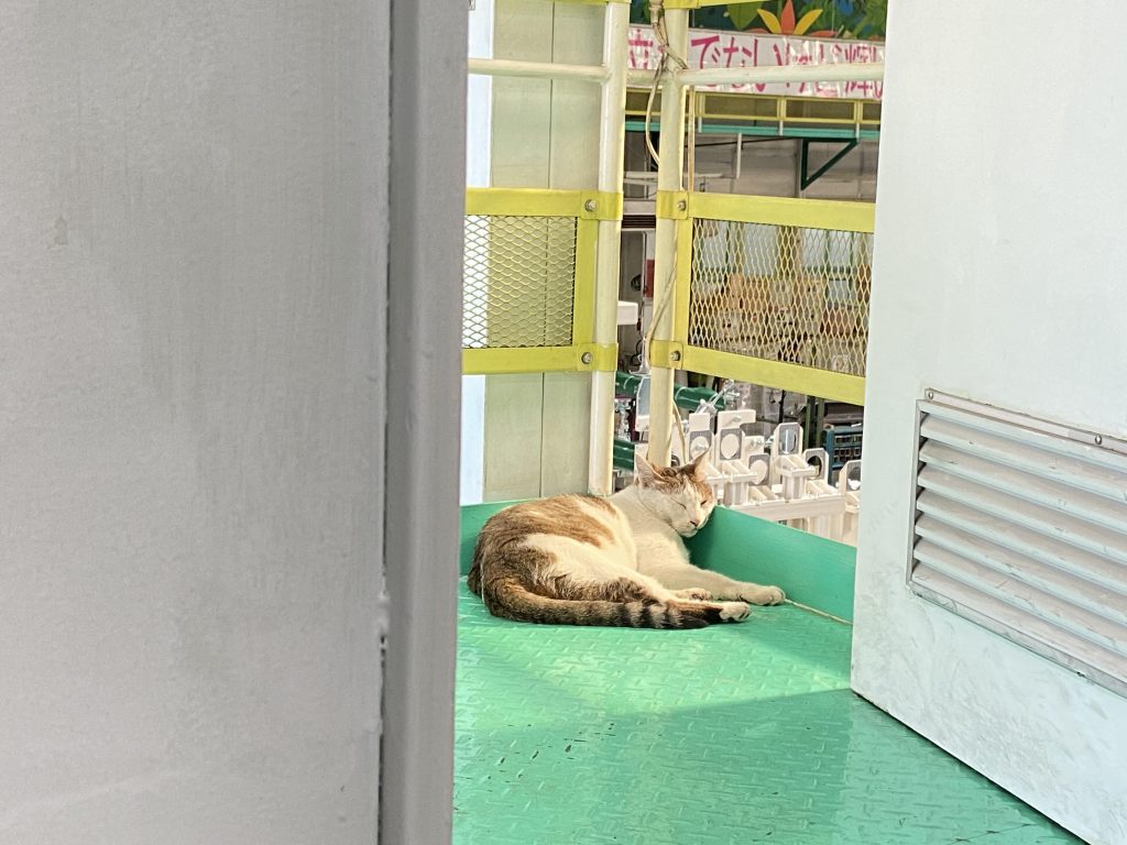 8月徒然 | 京都市南区の薄板大型製缶板金、設備ライン向け乾燥機の製作 - 株式会社タナカテック